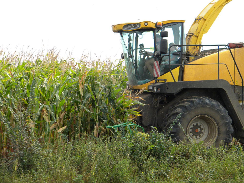 Ensilage – Babu Agri