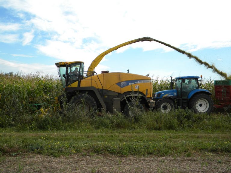 Ensilage – Babu Agri