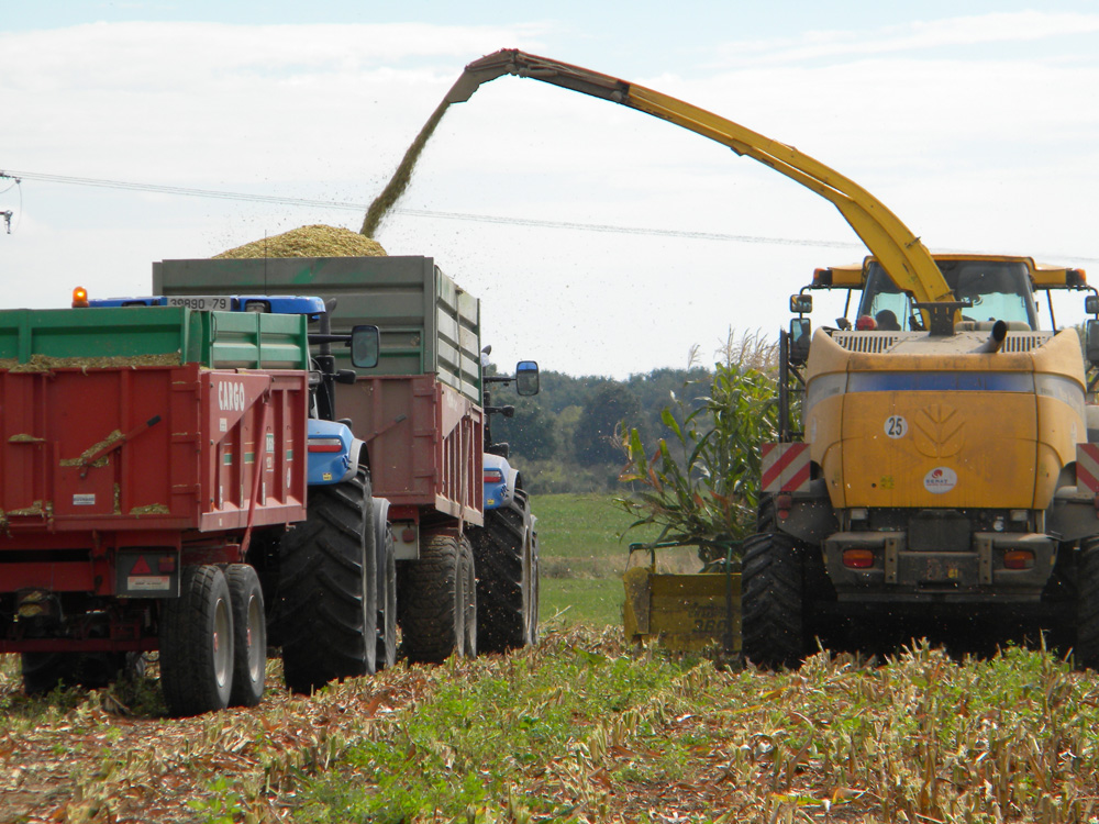Ensilage – Babu Agri