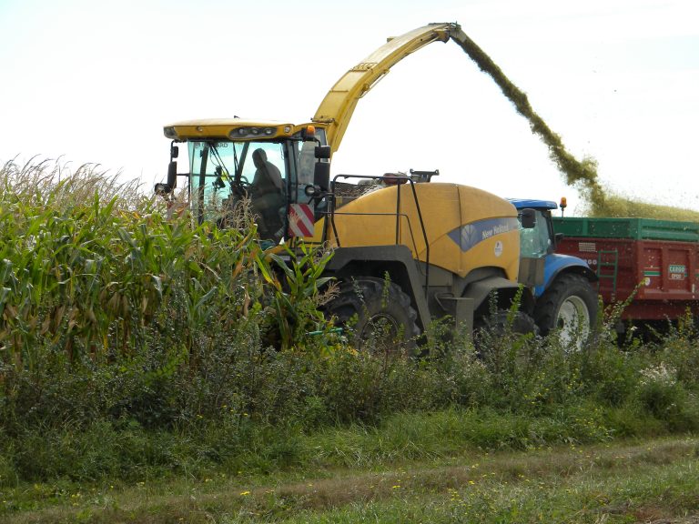Ensilage – Babu Agri